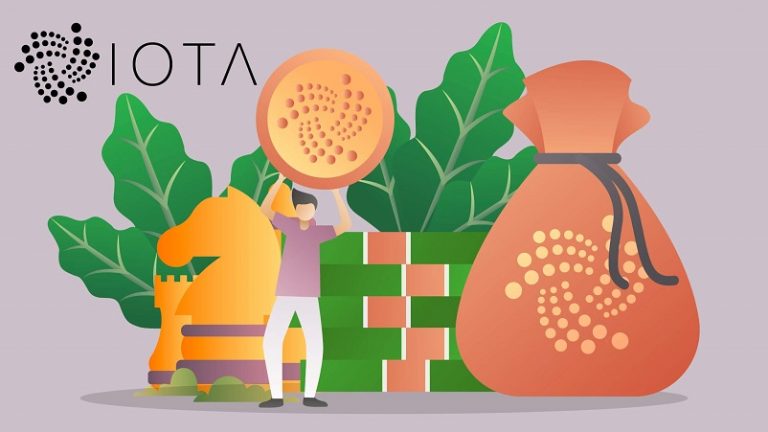 Investment in IOTA: Important Things You Need to Know