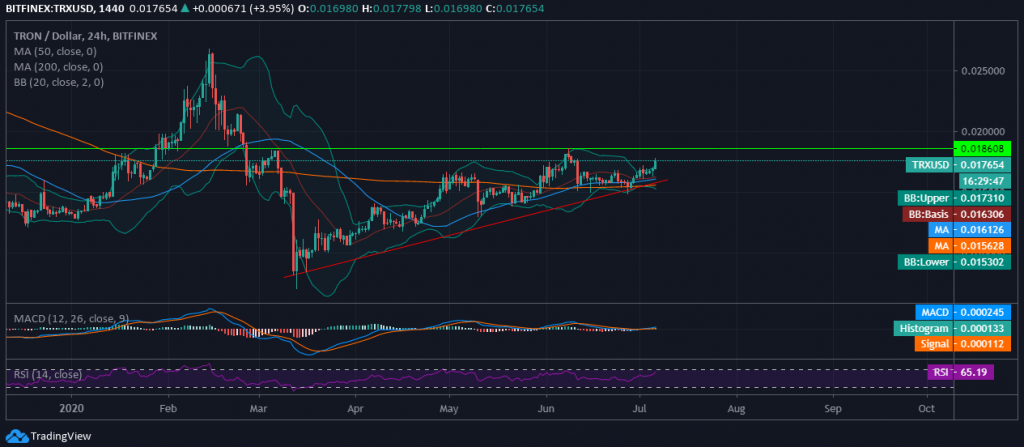 TRON Retains Complete Support from the Daily MAs