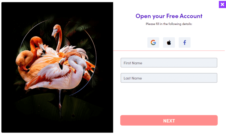 Banxso Review - The Insider's Guide to Banxso