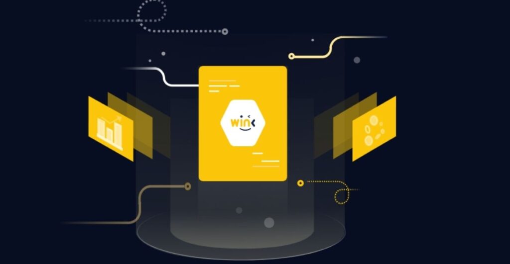 WINkLink’s Future Outlook and Prospects in 2025